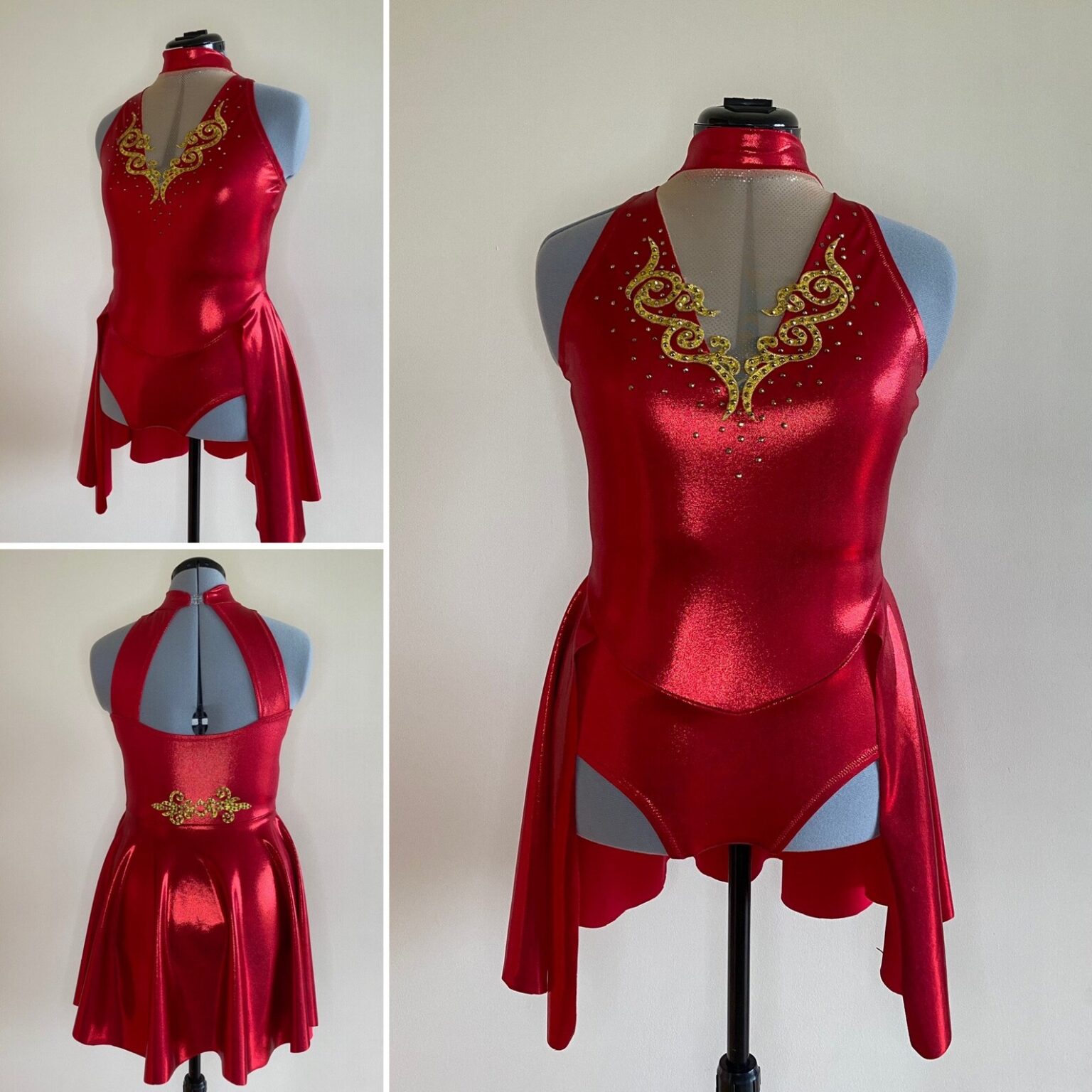 Circus Ring Mistress Costume - Leotard with Skirt - Cirque Wear by Shelley