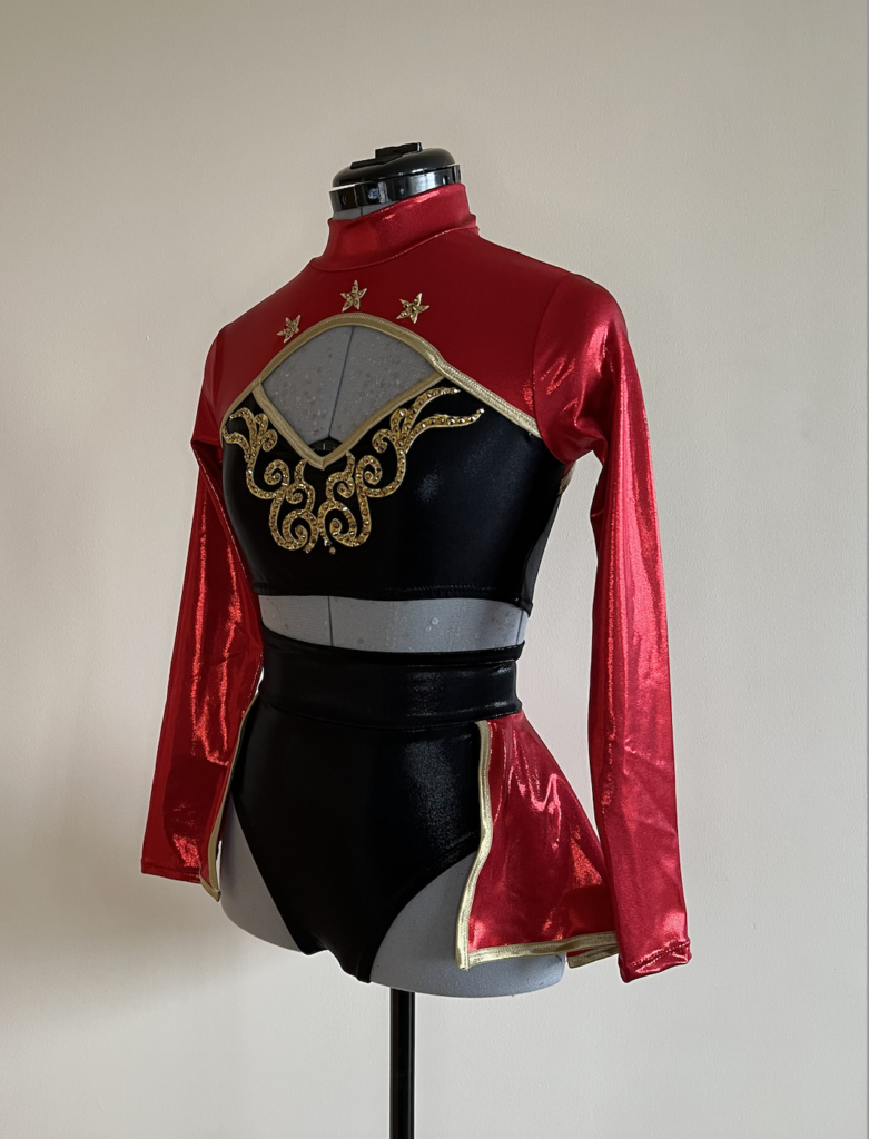 CUSTOMISABLE Centre of the Ring Two Piece Costume - Cirque Wear by Shelley